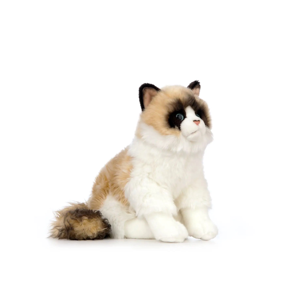 Ragdoll Cat - Plushie - GiftyKitty